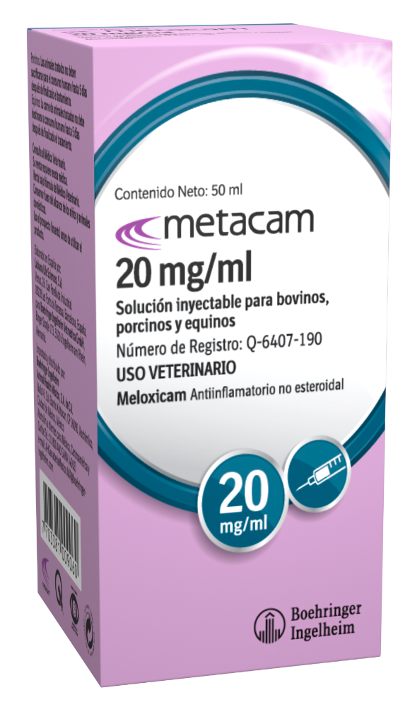 Metacam® | Boehringer Ingelheim